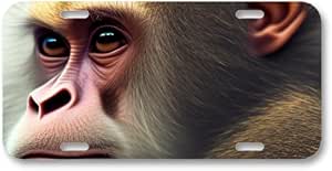 Amazon.com: Aluminum Front License Plate for Front of Car - 12 x 6 ...