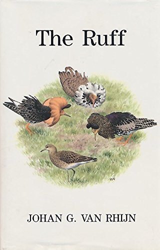 The Ruff: Individuality in a Gregarious Wading Bird: Van Rhijn, Johan G ...