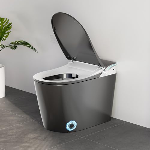 WinZo Smart Toilet,Tankless Toilets Dynamic Clean with Dryer, ADA ...