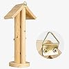 Amazon.com: Navaris Wooden Ladybug Habitat - Hanging Real Pinewood ...