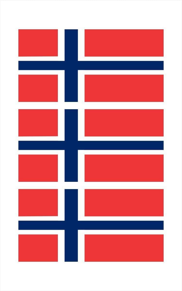 Amazon.com - Set of 3 Norway Flag Sticker 1" X 2" in - Country Decal ...