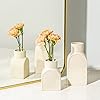 Amazon.com: Home Habitat Ceramic Ribbed Vases - 2 Piece Set, Small and ...