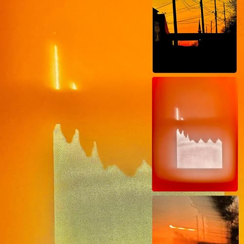 Amazon.co.jp: Bees in My Ribcage : Cate Katigbak: デジタルミュージック