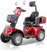 Amazon.com: Dvsripa All Terrain Mobility Scooter,Heavy-Duty 4 Wheel Mobility Scooters 500lbs ...