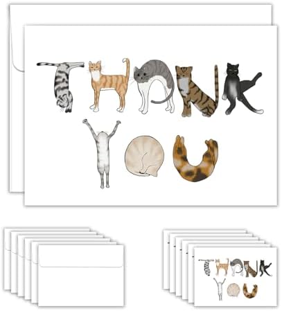 Amazon.com : Cat Thank You Cards (6 Packs), Alphabet Thank You Cards ...