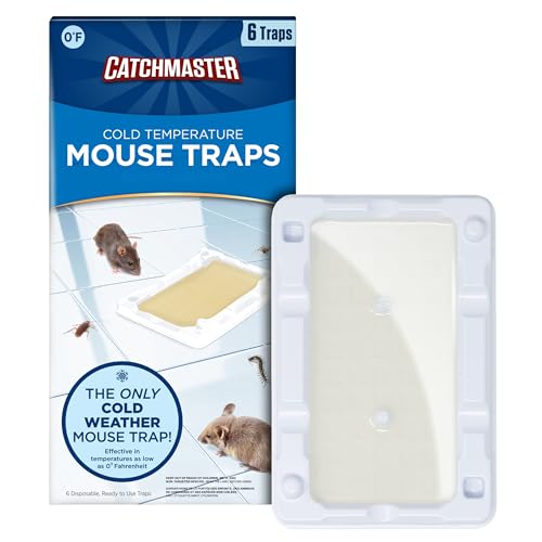 Best Glues for Cold Temperatures: Reliable Options for Freezing ...