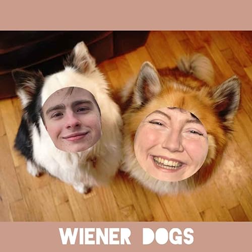 Wiener Dogs : Caitlin Magnall-Kearns & Michael Lavery: Amazon.in ...