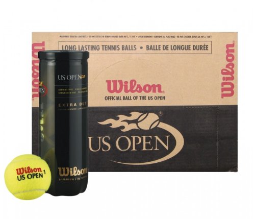 Buy Wilson US Open Carton (24 Cans) Online at Low Prices in India ...