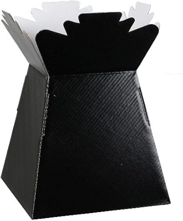 APAC Black Living Vase Flower Box Flower Bouquet Transporter, Sweet ...
