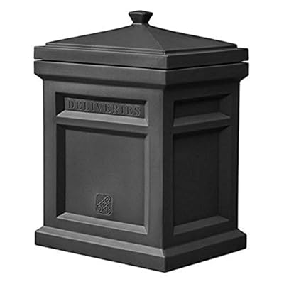 Amazon.com: package lock box