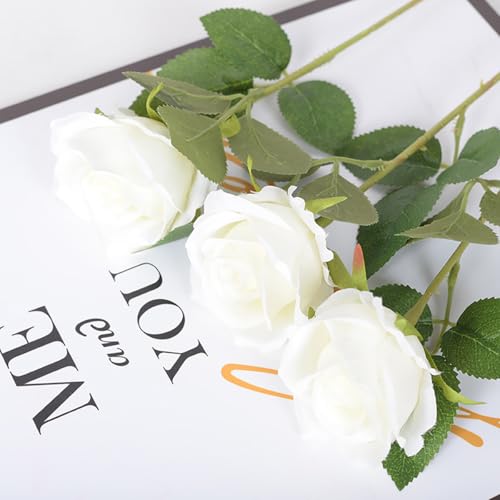 Best White Roses for Sympathy and Memorial Decor – Gift Everything