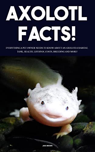 Axolotl Facts! Everything a pet owner needs to know about an axolotls ...