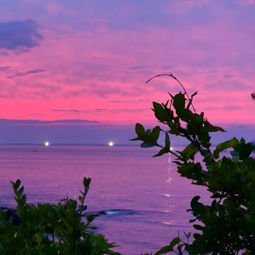 Amazon MusicでROYz罗艺中のThe Ocean Is Growing Pinkを再生する