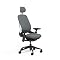 Amazon.com: Steelcase Leap Desk Chair V2 with Headrest in Buzz2 Black ...