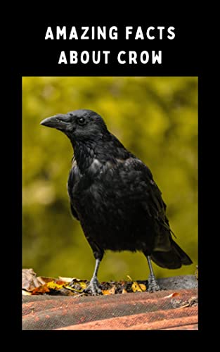 Amazing Facts About Crow: Interesting Facts About Crow eBook ...