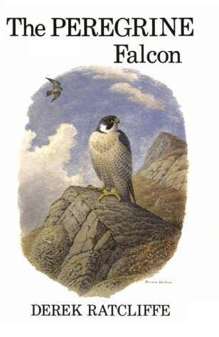 The Peregrine Falcon: Ratcliffe, Derek A.: 9780931130052: Amazon.com: Books