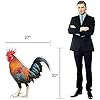 Amazon.com: Life Size Cardboard Cutout Standup | Waterproof | Animals ...