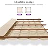 Amazon.com: PURPLE LEAF 10' x 13' Outdoor Retractable Pergola with Sun ...