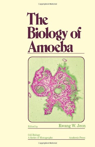 The biology of amoeba (Cell biology): Jeon, Kwang W: 9780123848505 ...