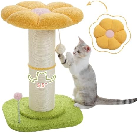 Amazon.com : Hovicaed Cute Cat Scratching Post, Flower Cat Tree for ...