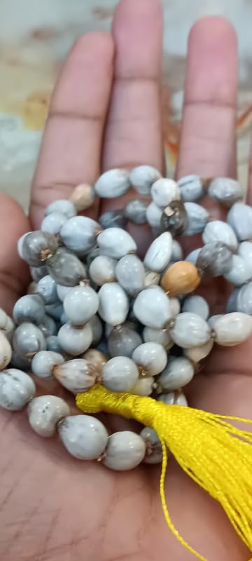 Royal Gems बैजंती माला Real Vaijayanti Mala वैजयन्ती माला Vaijanti Mala ...