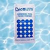 Amazon.com: DicaLite Swimming Pool and Spa Filter Powder - 25lb Bag ...