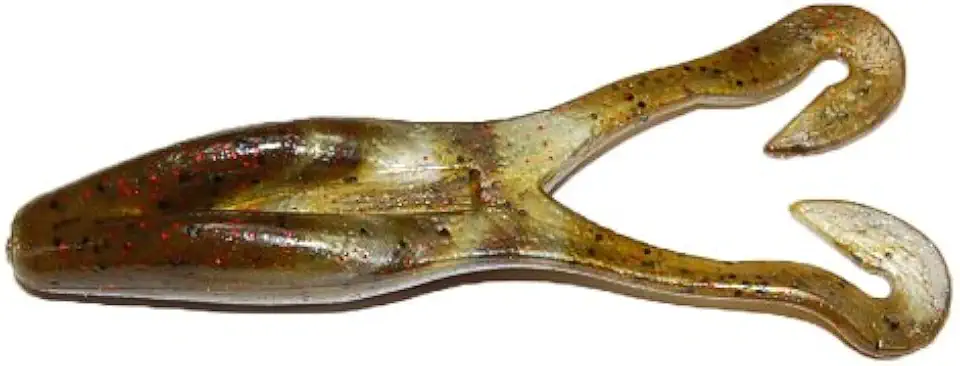 The Fascinating Life Cycle Of Cane Toads: From Egg To Tadpole To Adult ...