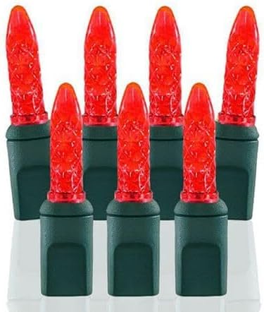 Pro Christmas M5 LED Christmas Lights - 100 Count Mini 5mm String ...