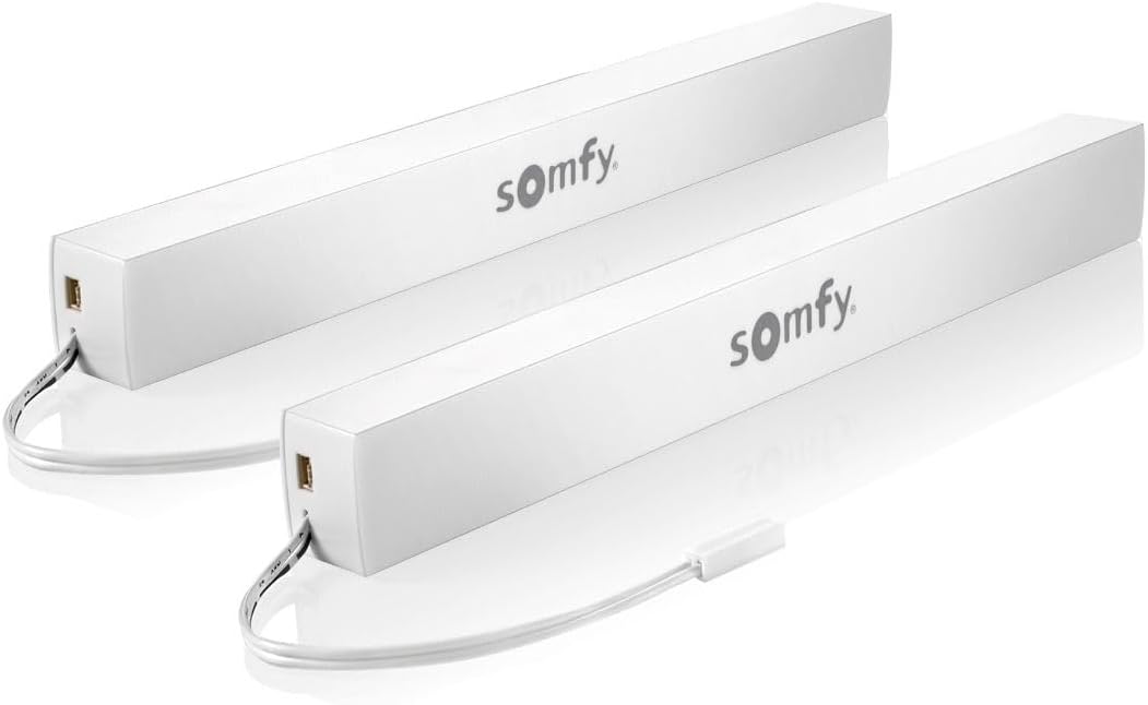Amazon.com: somfy Rechargeable Battery Pack 2-Pack for Wirefree RTS ...