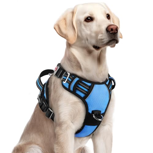 Soft Dog Harness – The 15 best products compared - Wild Explained