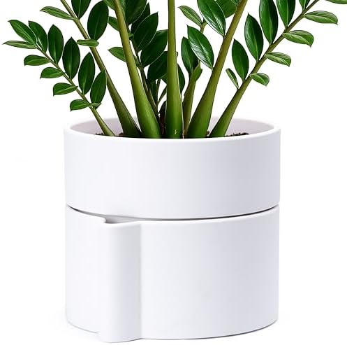 Amazon.com : 6" Self Watering + Self Aerating High Drainage Deep ...