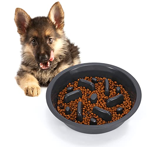 Unleash Your Dog's Feeding Fun with the Top 10 Maze Dog Food Bowls of ...