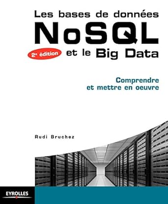 Amazon.fr - LES BASES DE DONNEES NOSQL ET LE BIG DATA COMPRENDRE ET ...