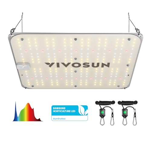 The 10 Best Grow Light For Cactus