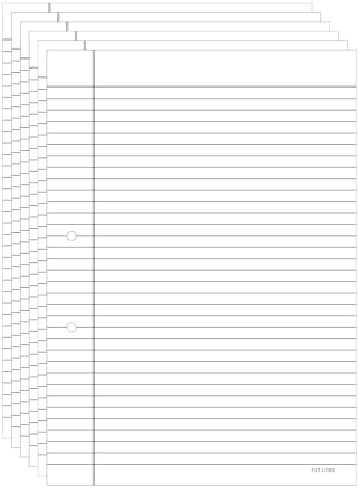 Fun Lines Premium A4 Pre-Punched Ruled Sheets I Both Side Ruled I For ...