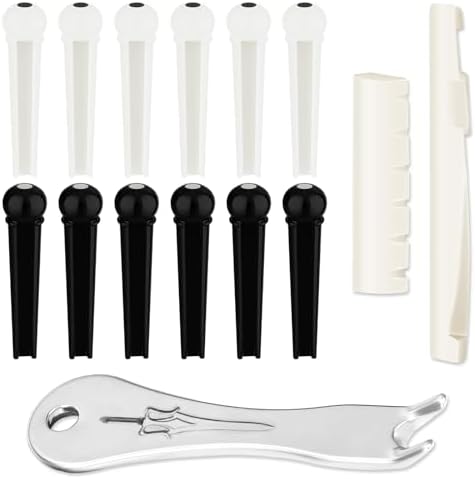 Amazon.com: 12 PCS Acoustic Guitar Bridge Pins with 2 PCS Guitar Saddle ...