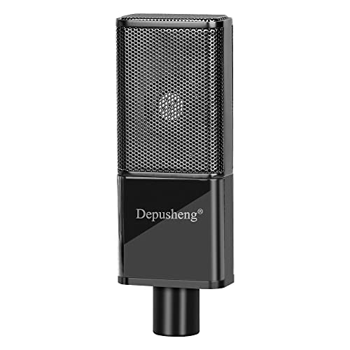 Snapklik.com : Depusheng RX2 USB Computer Recording Kit