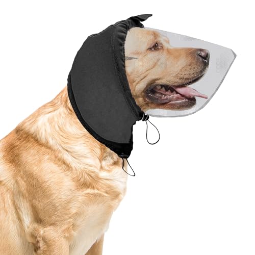 Foxtail Dogs – The 15 best products compared - Wild Explained