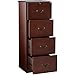 Amazon.com: Z-Line Designs 4-Drawer Vertical File Cabinet, Cherry ...
