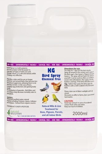 KG Bird Spray 2000ml Will assist in Removal of Mites & Lice from Hens ...
