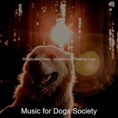 Play Simple Jazz Piano - Ambiance for Walking Dogs by Music for Dogs ...