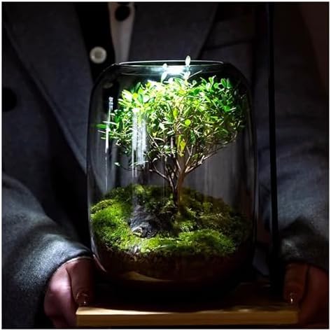 Amazon.com: Glass Plant Terrarium with LED Light Plants Containers ...