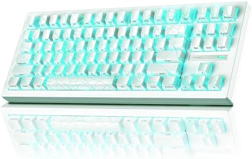 Amazon.com: ZORNHER ZH870 Wireless Gaming Mechanical Keyboard,80% White ...