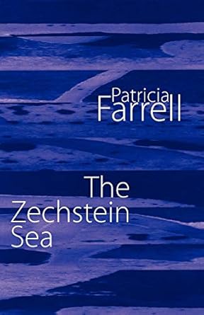 The Zechstein Sea: Amazon.co.uk: Farrell, Patricia: 9781848612631: Books