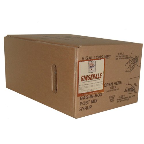 Amazon.com : Ginger Ale Syrup (5 gallon) : Soda Soft Drinks : Grocery ...