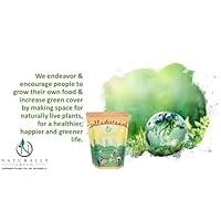 Naturally Green Kitchen Waste Decomposer, All in one Bio decomposer ...