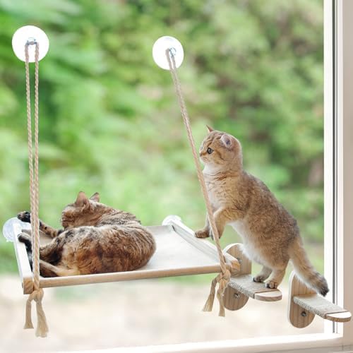 Amazon.com : HOMBYS Cat Window Perch with Climbing Steps & Sisal ...