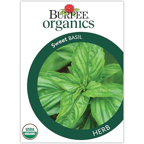 Sweet Basil Vs Genovese Basil: 8 Key Differences Explained
