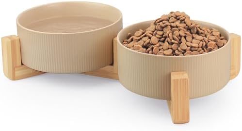 Megan and Pumpkin's Amazon Page