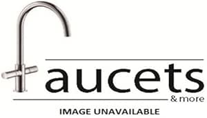 BASE RING W/S SPOUT - Faucet Spouts And Kits - Amazon.com